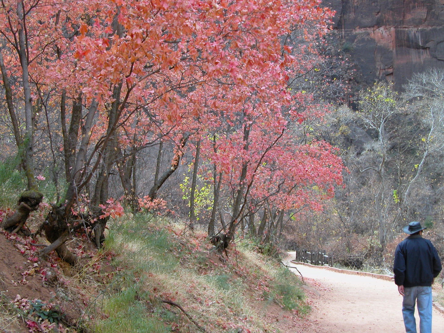 I'll Bet You Didn't Know - Sacred Healing of Grief Wounds